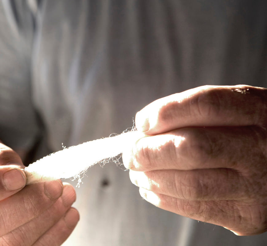 pure - ABMT TEXTILES